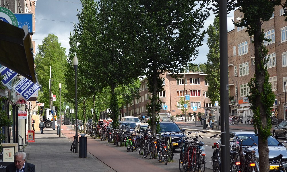 Rijnstraat | New Urban Standard