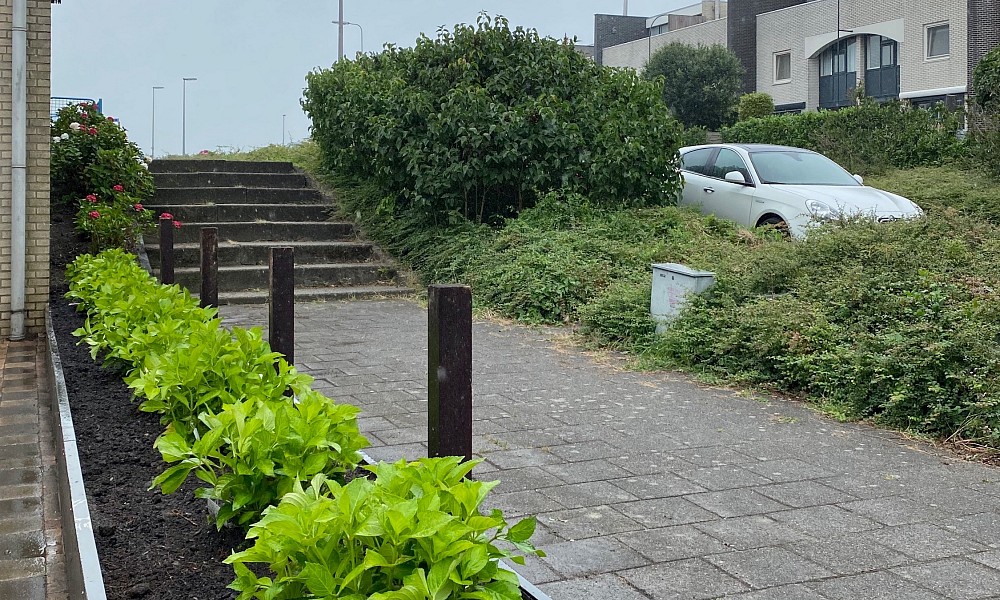 Border voortuin | New Urban Standard