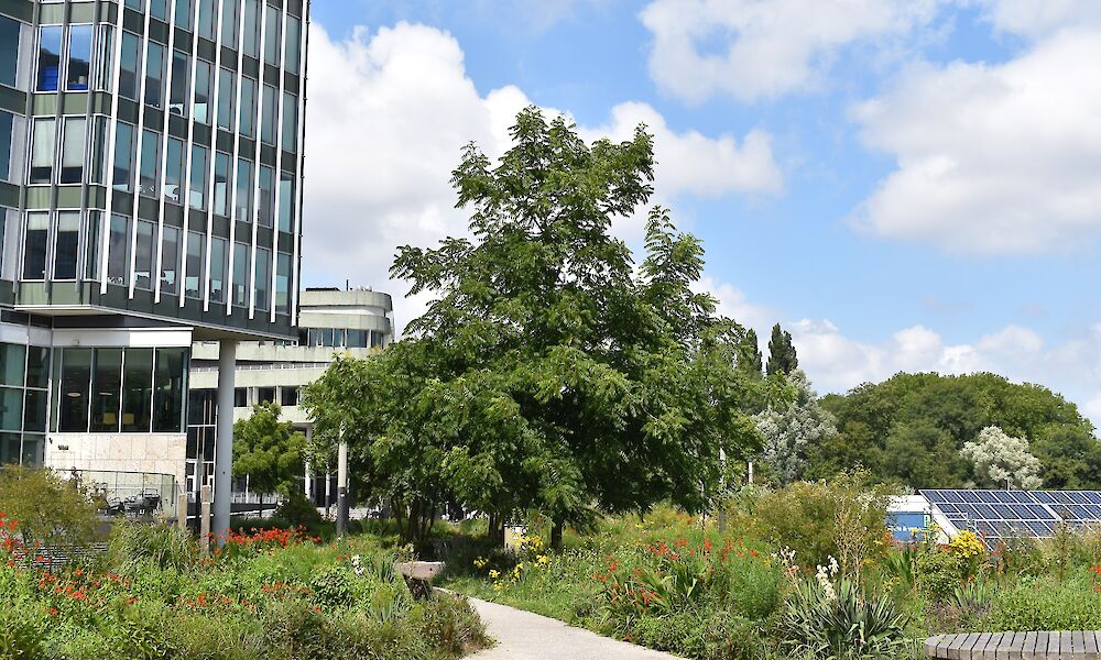 Beatrixpark | New Urban Standard